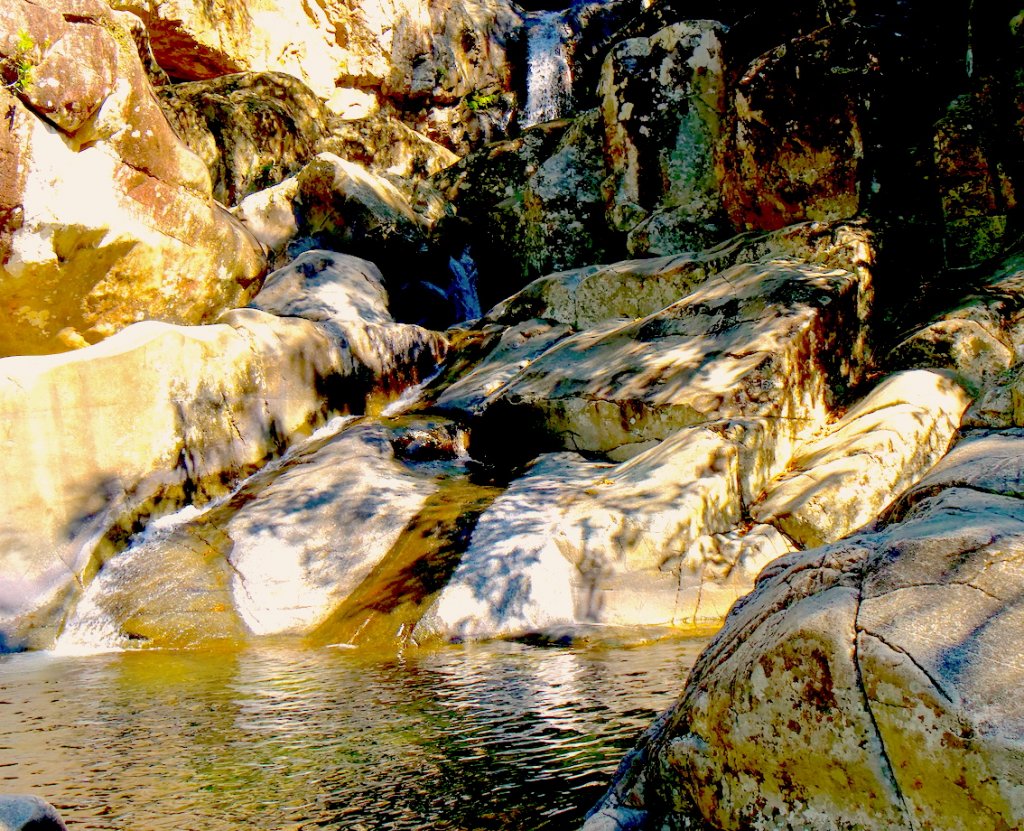 An amazing piece of architecture: Little Crystal Creek, North Queensland