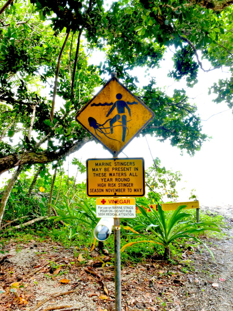 A motorcycle trip through the Daintree Rain Forest