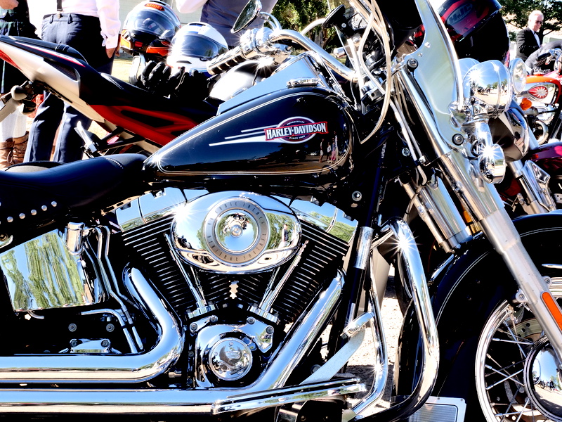 Distinguished Gentlemen's Ride is a charity for men's health